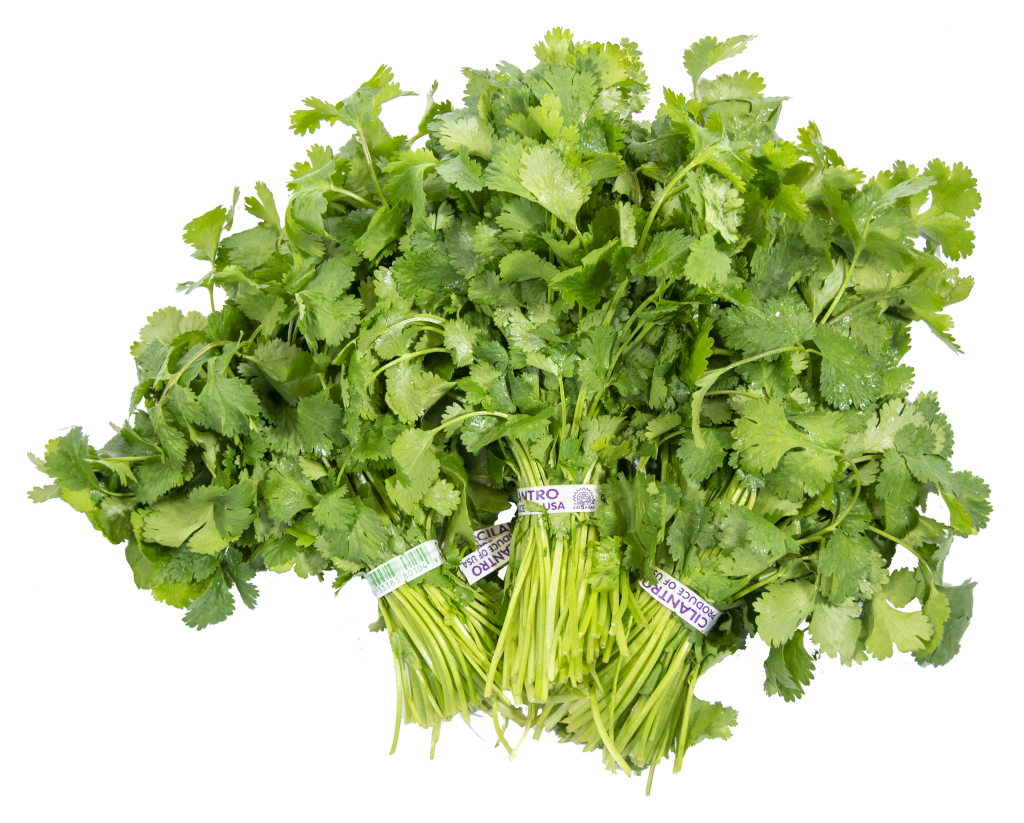 Cilantro - Green Light Fresh Produce