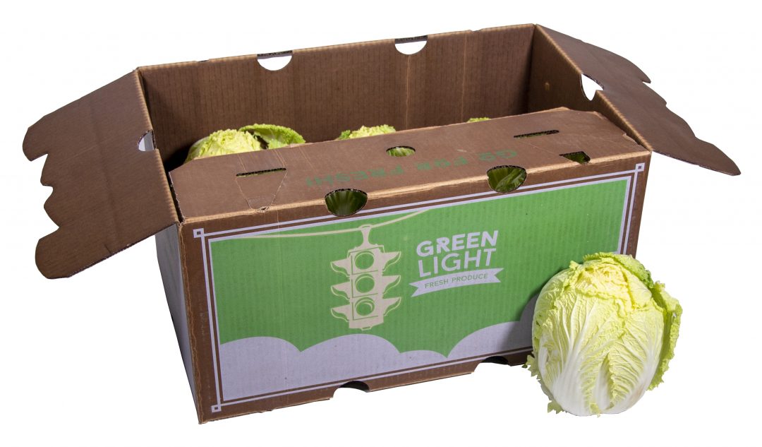 Napa Cabbage - Green Light Fresh Produce