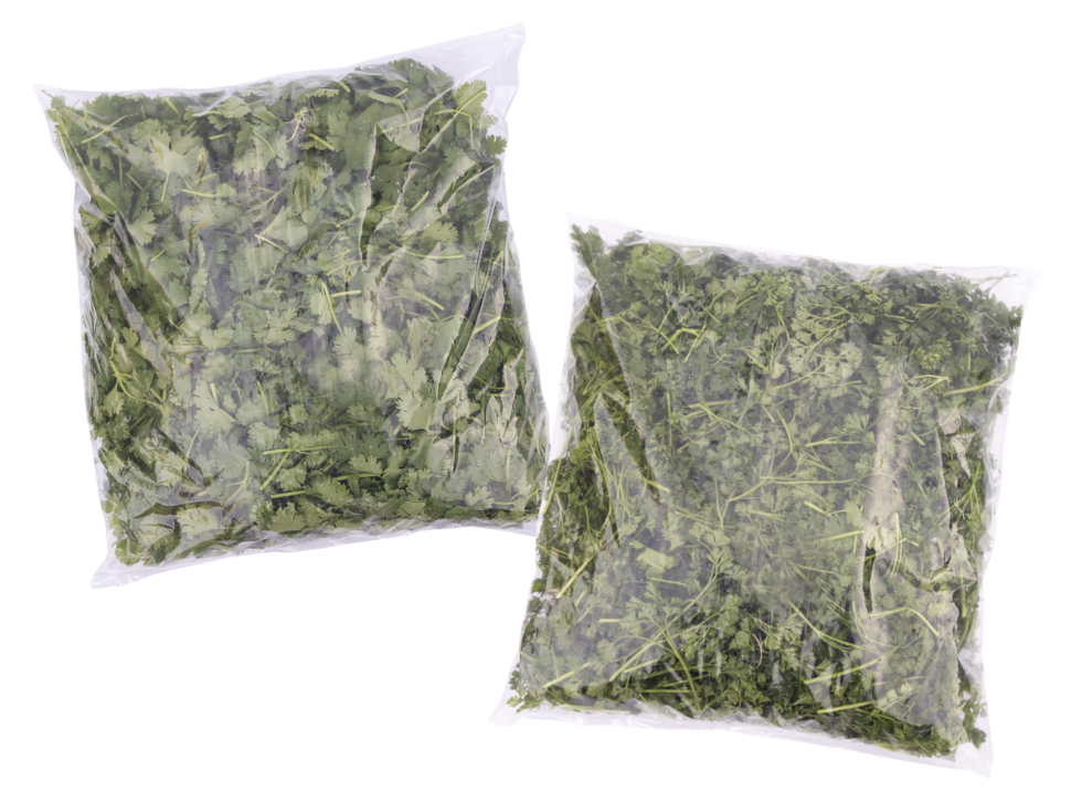 Washed Cilantro & Parsley - Green Light Fresh Produce